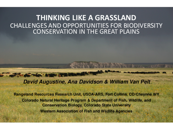 (PDF) Thinking Like a Grassland: Challenges and Opportunities for ...
