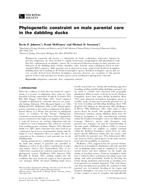 (PDF) Phylogenetic constraint on male parental care in the dabbling ducks
