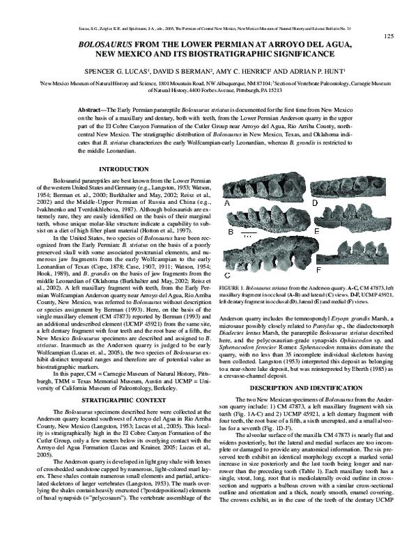 (PDF) Bolosaurus from the Lower Permian at Arroyo Del Agua, New Mexico ...