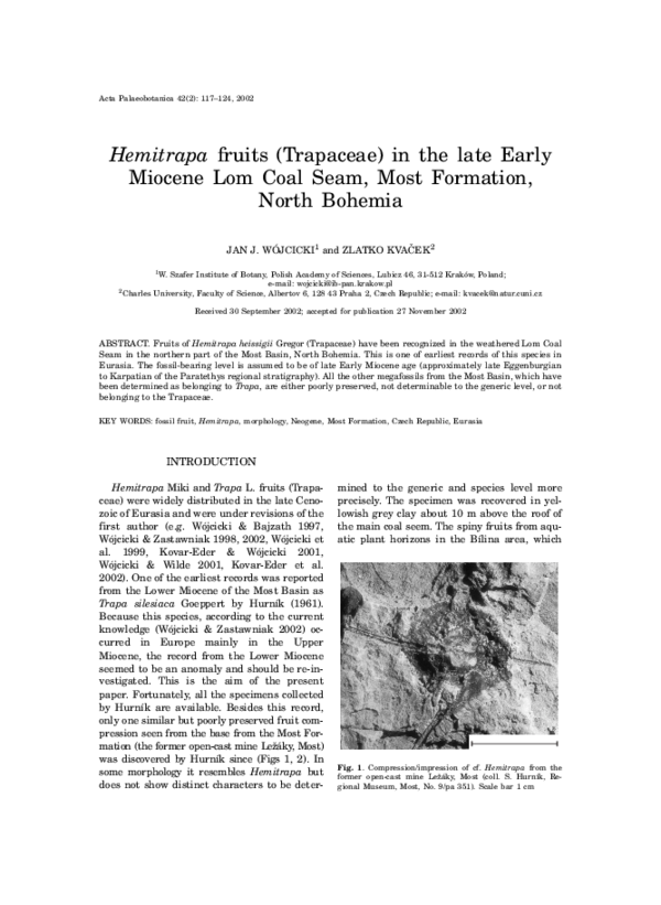 (PDF) Hemitrapa fruits (Trapaceae) in the late Early Miocene Lom Coal ...