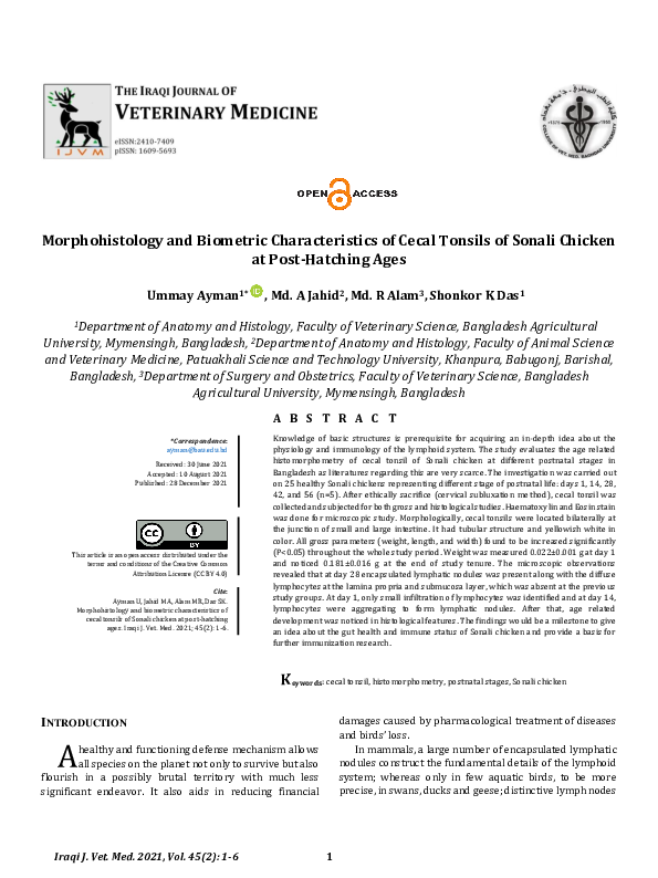 (PDF) Morphohistology and Biometric Characteristics of Cecal Tonsils of ...