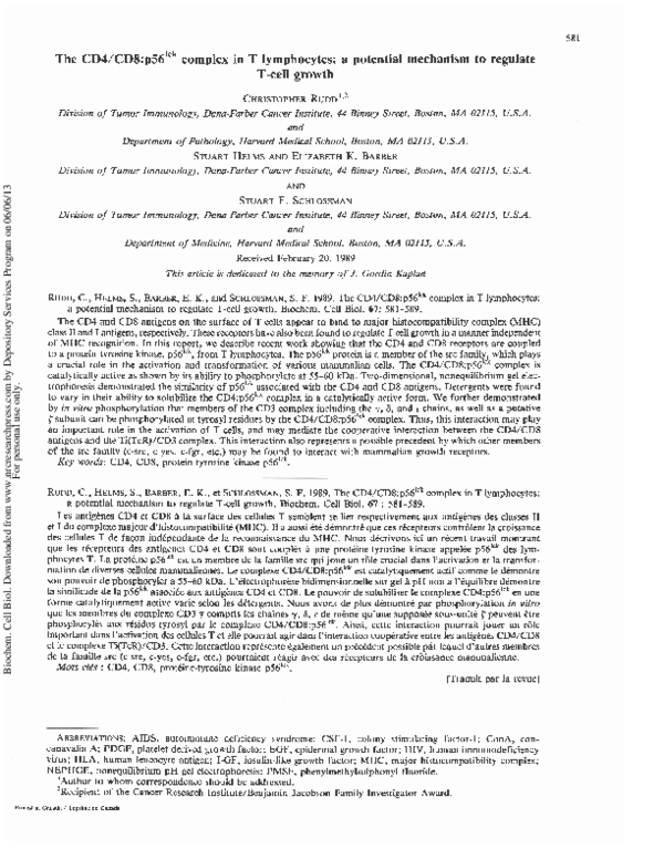 (PDF) The CD4/CD8:p56 lck complex in T lymphocytes: a potential ...
