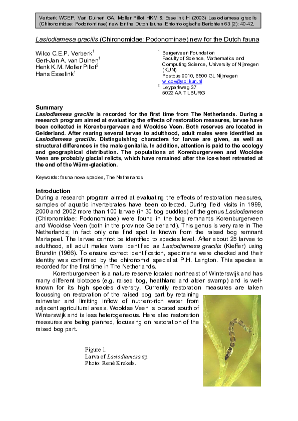 (PDF) Lasodiamesa gracillis (Chironomidae: Podonominae) new for the ...