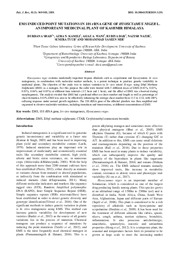 (PDF) EMS induced point mutations in 18s rRNA gene of Hyoscyamus niger ...