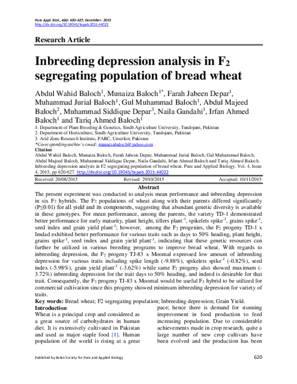(PDF) Inbreeding depression analysis in F2 segregating population of bread wheat
