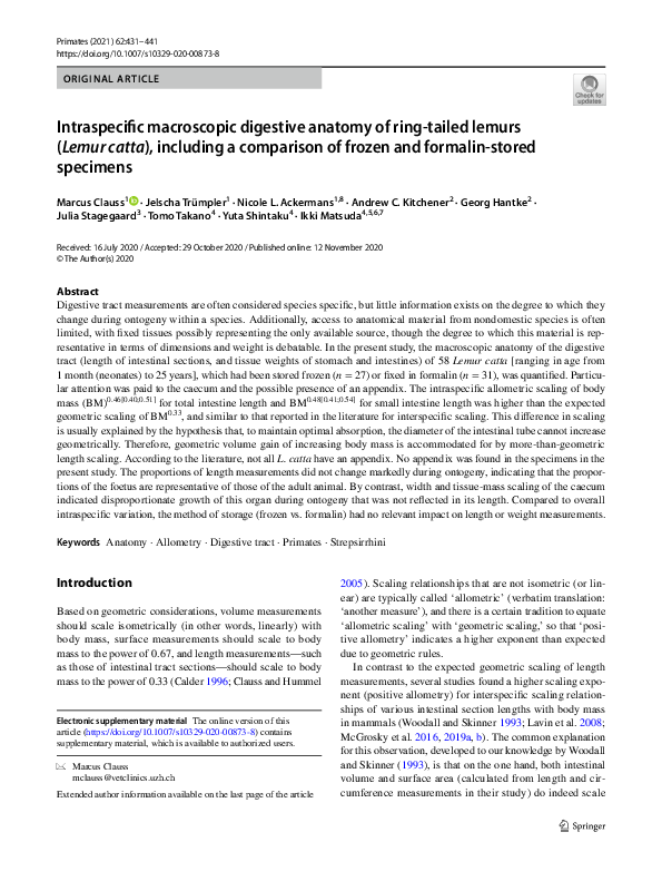 (PDF) Intraspecific macroscopic digestive anatomy of ring-tailed lemurs ...