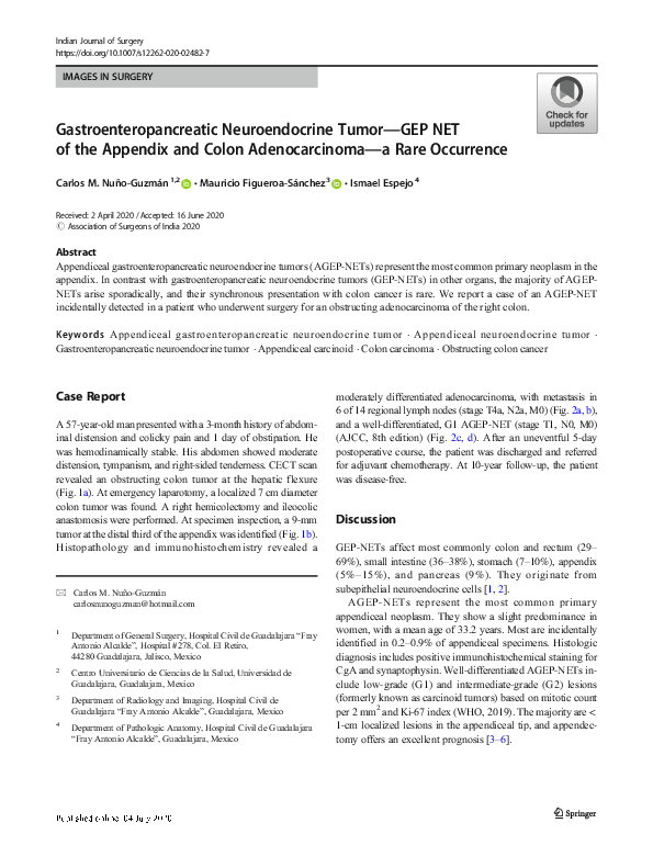 (PDF) Gastroenteropancreatic Neuroendocrine Tumor—GEP NET of the ...