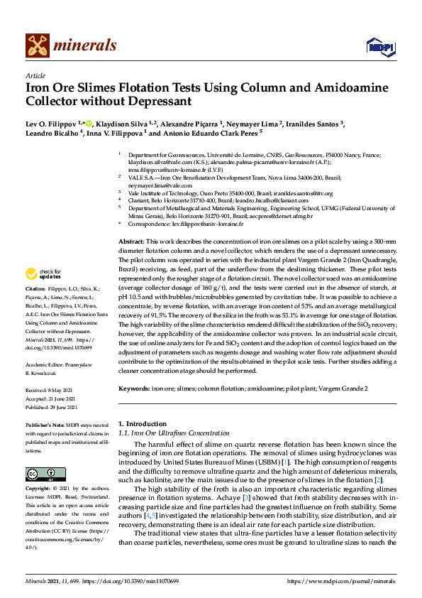 (PDF) Iron Ore Slimes Flotation Tests Using Column and Amidoamine ...