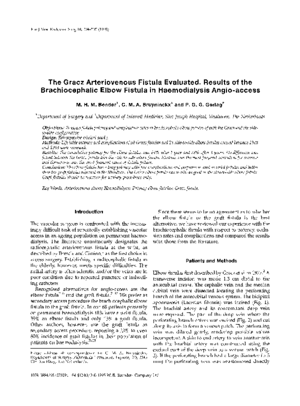(PDF) The gracz arteriovenous fistula evaluated. Results of the ...