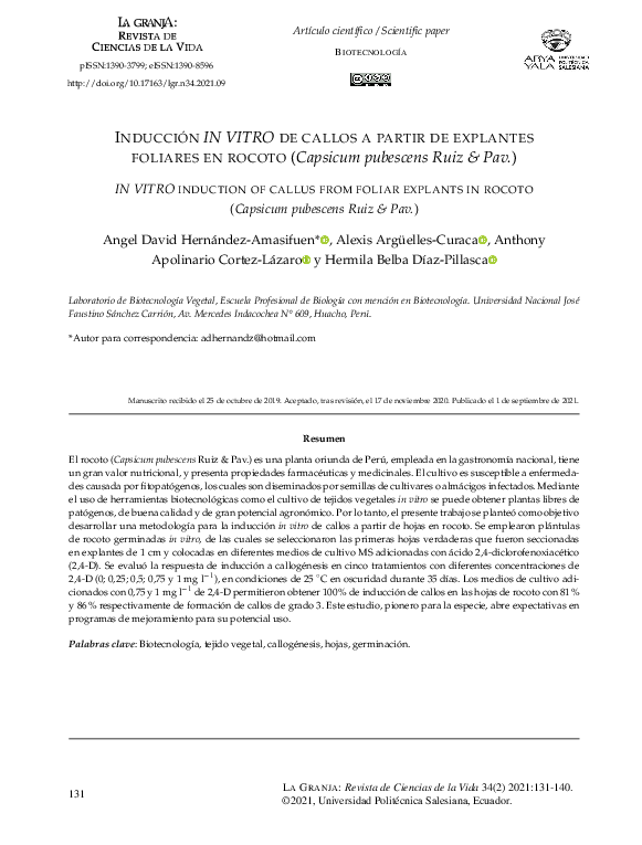 (PDF) INDUCCIÓN IN VITRO DE CALLOS A PARTIR DE EXPLANTES FOLIARES EN ...