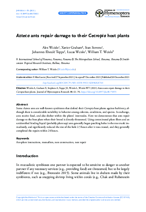 (PDF) Azteca ants repair damage to their Cecropia host plants