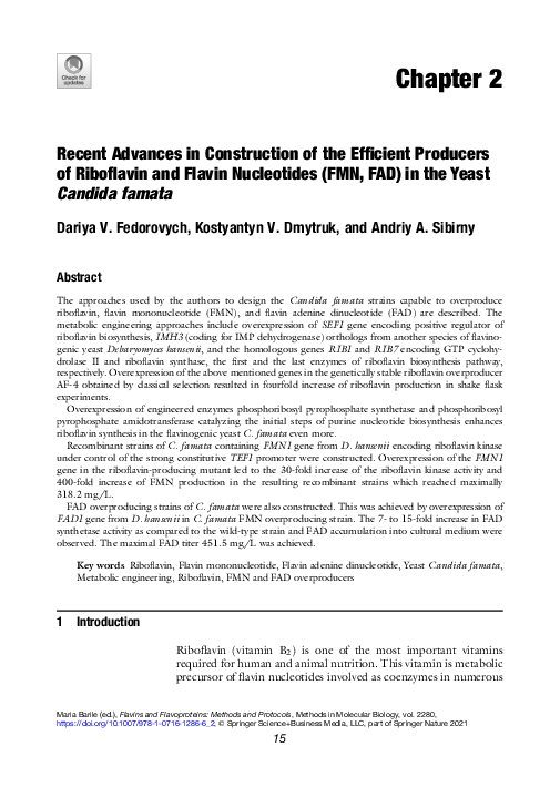 (PDF) Recent Advances in Construction of the Efficient Producers of ...