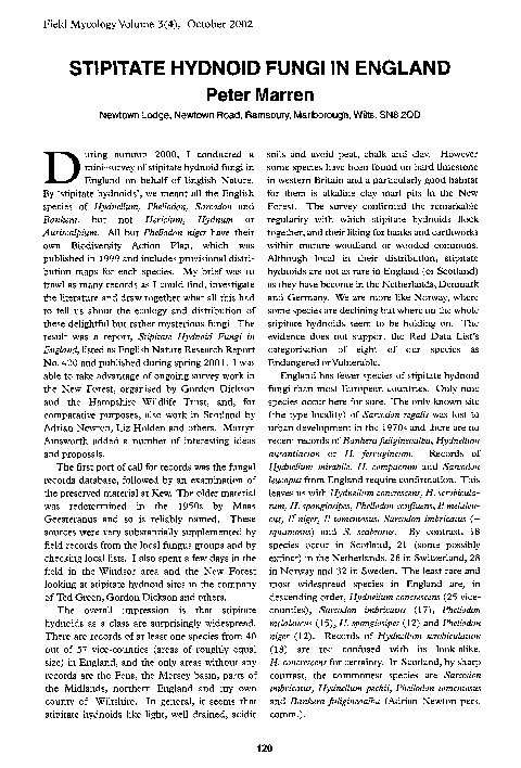 (PDF) Stipitate hydnoid fungi in England