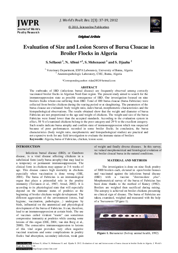 (PDF) Evaluation of Size and Lesion Scores of Bursa Cloacae in Broiler ...