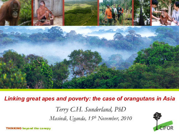 (PDF) Linking great apes and poverty: the case of orangutans in Indonesia