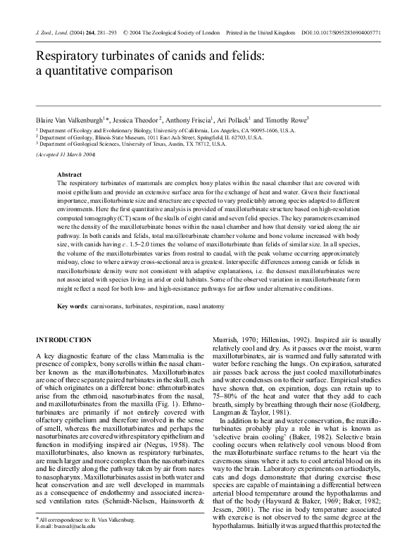 (PDF) Respiratory turbinates of canids and felids: a quantitative ...