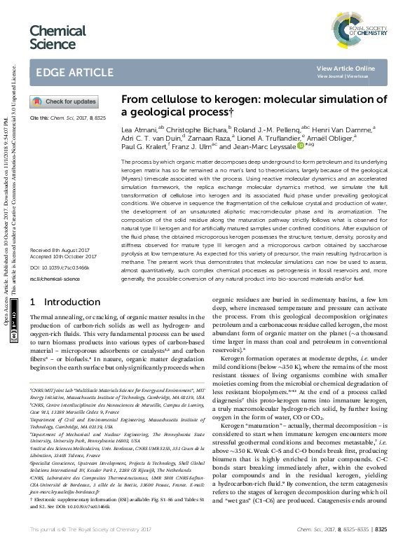 (PDF) From cellulose to kerogen: molecular simulation of a geological ...
