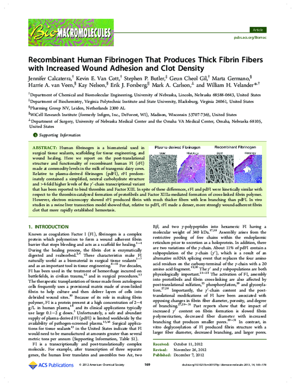 (PDF) A recombinant human fibrinogen that produces thick fibrin fibers ...