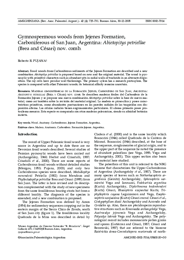 (PDF) Gymnospermous woods from Jejenes Formation, Carboniferous of San ...