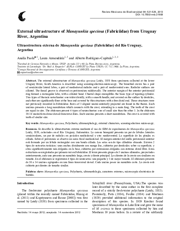 (PDF) External ultrastructure of Manayunkia speciosa (Fabriciidae) from ...