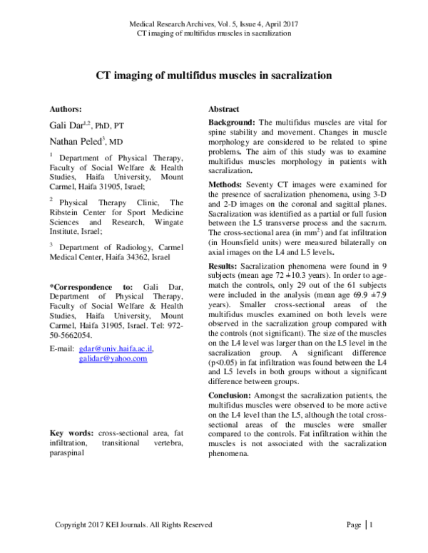 (PDF) CT imaging of multifidus muscles in sacralization