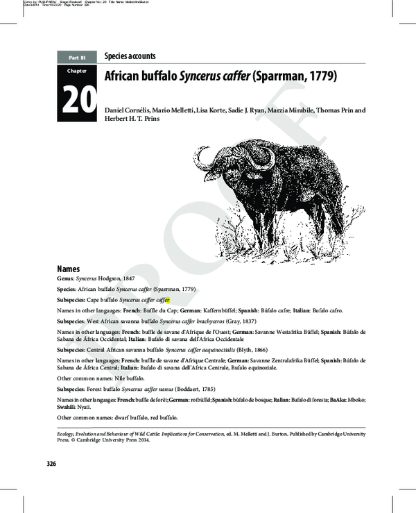 (PDF) African buffalo. In Ecology, Evolution and Behaviour of Wild ...