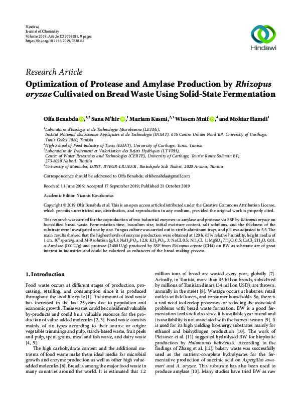 (PDF) Optimization of Protease and Amylase Production by Rhizopus oryzae Cultivated on Bread ...