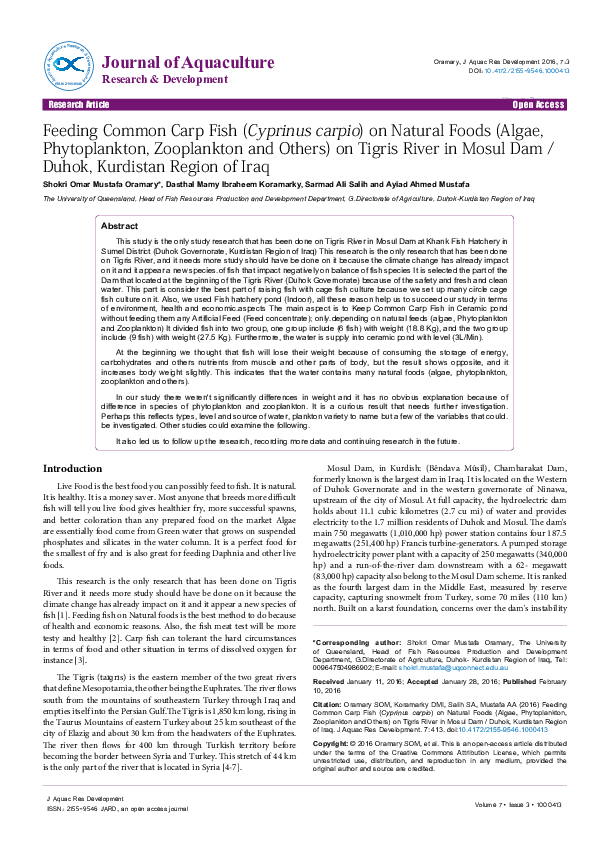 (PDF) Old fish article