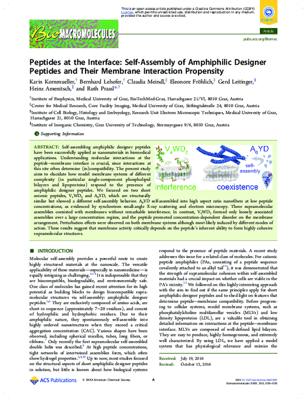 (PDF) Peptides at the Interface: Self-Assembly of Amphiphilic Designer Peptides and Their ...