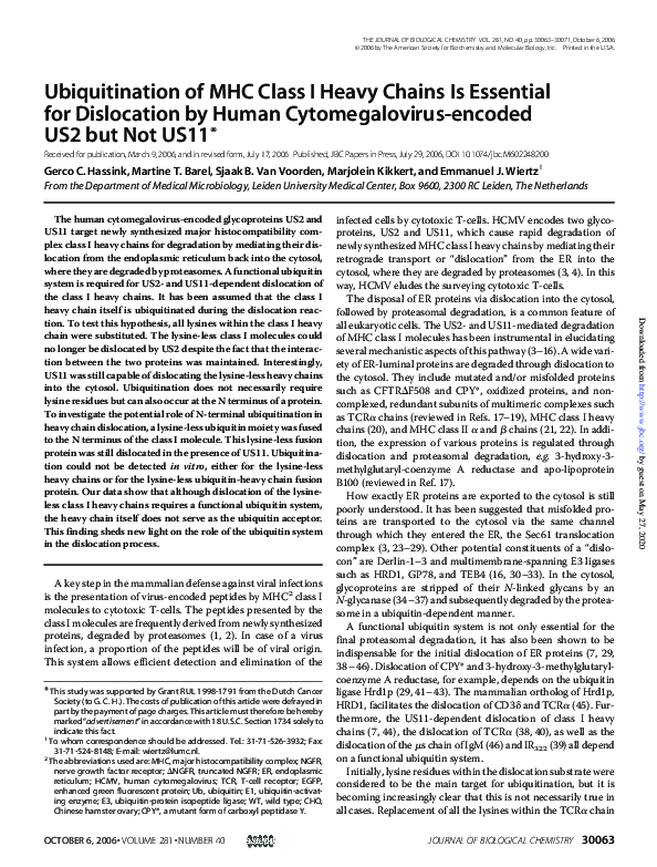 (PDF) Ubiquitination of MHC Class I Heavy Chains Is Essential for ...