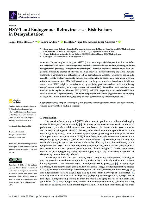 (PDF) HSV-1 and Endogenous Retroviruses as Risk Factors in Demyelination