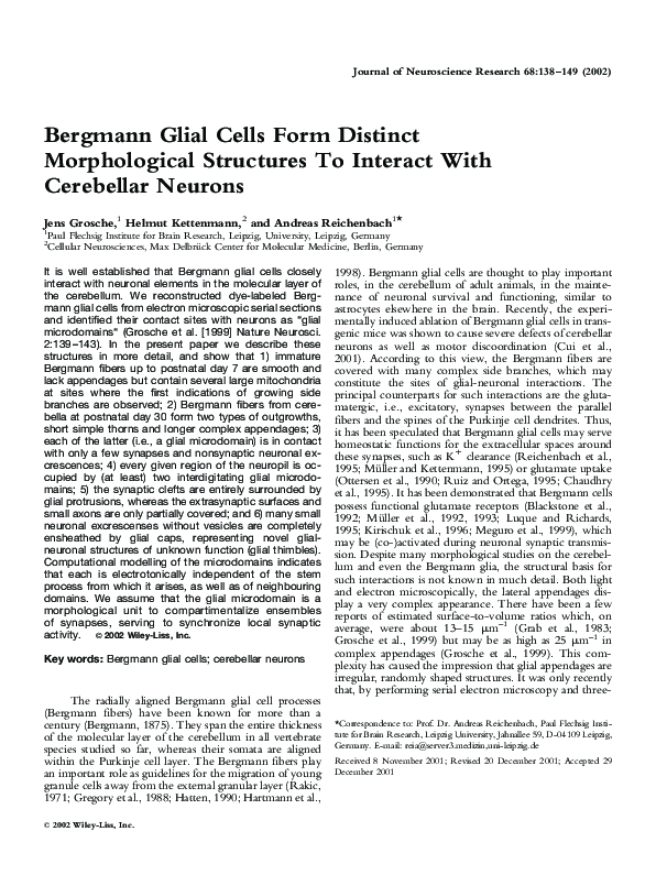 (PDF) Bergmann glial cells form distinct morphological structures to ...