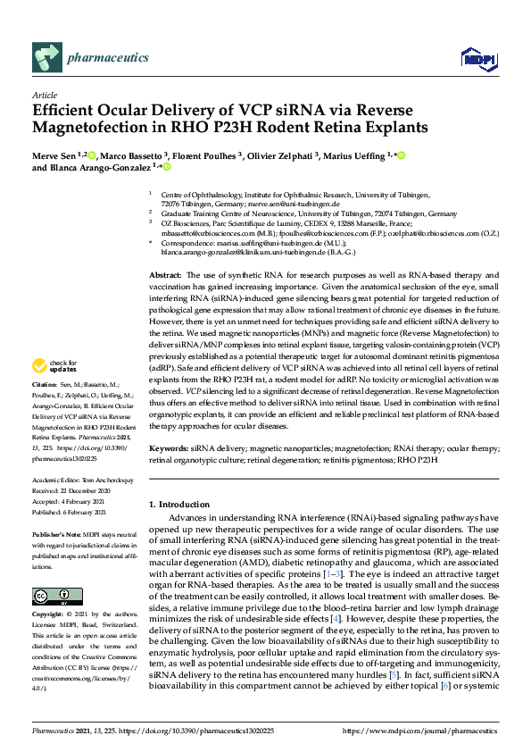 (PDF) Efficient Ocular Delivery of VCP siRNA via Reverse Magnetofection ...