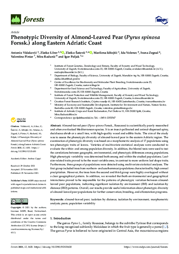 (PDF) Phenotypic Diversity of Almond-Leaved Pear (Pyrus spinosa Forssk ...