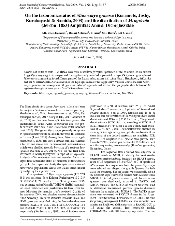 (PDF) On the taxonomic status of Minervarya granosa (Kuramoto, Joshy, Kurabayashi & Sumida, 2008 ...