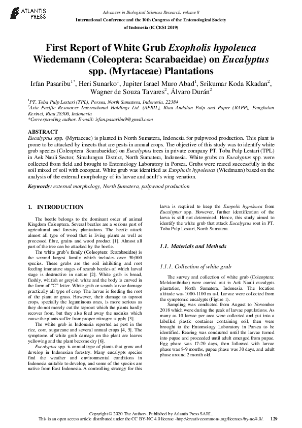 (PDF) First Report of White Grub Exopholis hypoleuca Wiedemann ...