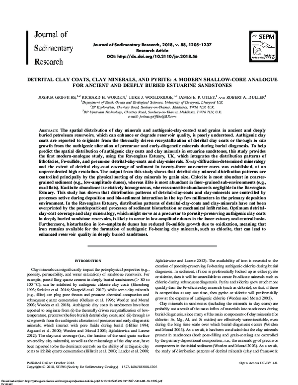 (PDF) Detrital Clay Coats, Clay Minerals, and Pyrite: A Modern Shallow ...