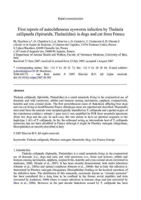 (PDF) First reports of autochthonous eyeworm infection by Thelazia ...