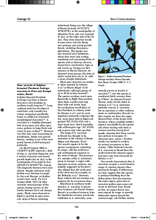 (PDF) New records of Sulphur-breasted Parakeet Aratinga maculata in ...