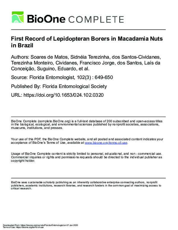 (PDF) First Record of Lepidopteran Borers in Macadamia Nuts in Brazil