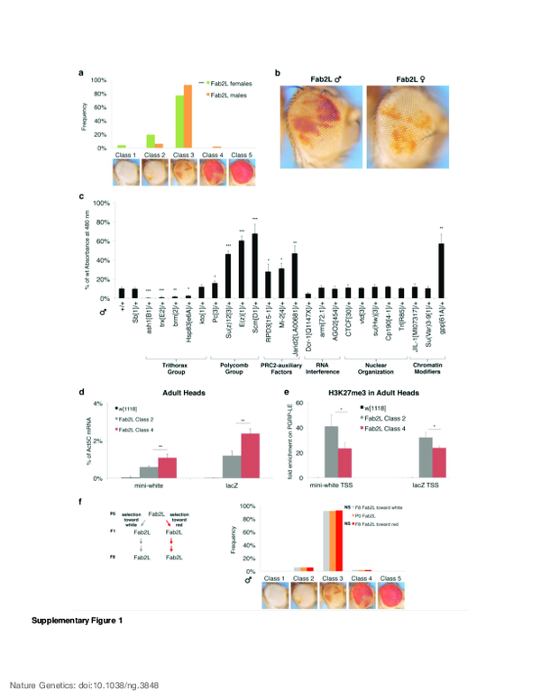 (PDF) Stable Polycomb-dependent transgenerational inheritance of ...