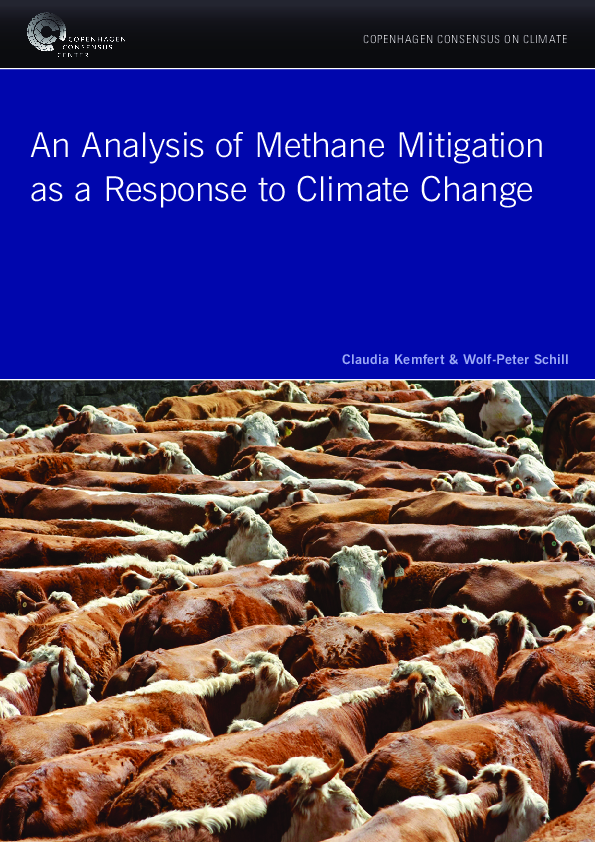 (PDF) An analysis of methane mitigation as a response to climate change