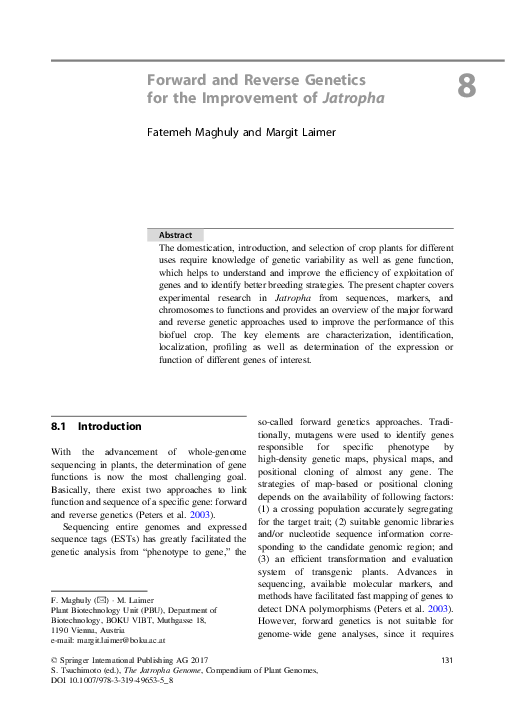 (PDF) Forward and Reverse Genetics for the Improvement of Jatropha