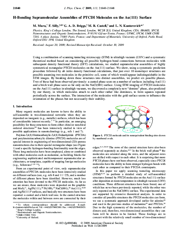 (PDF) H-bonding supramolecular assemblies of PTCDI molecules on the Au ...