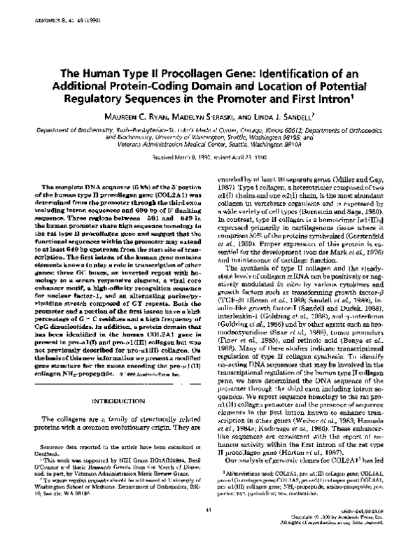 (PDF) The human type II procollagen gene: Identification of an ... (PDF) The human type II procollagen gene: Identification of an ...