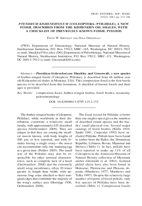 (PDF) Ptenidium kishenehnicum (Coleoptera: Ptiliidae), a New Fossil ...