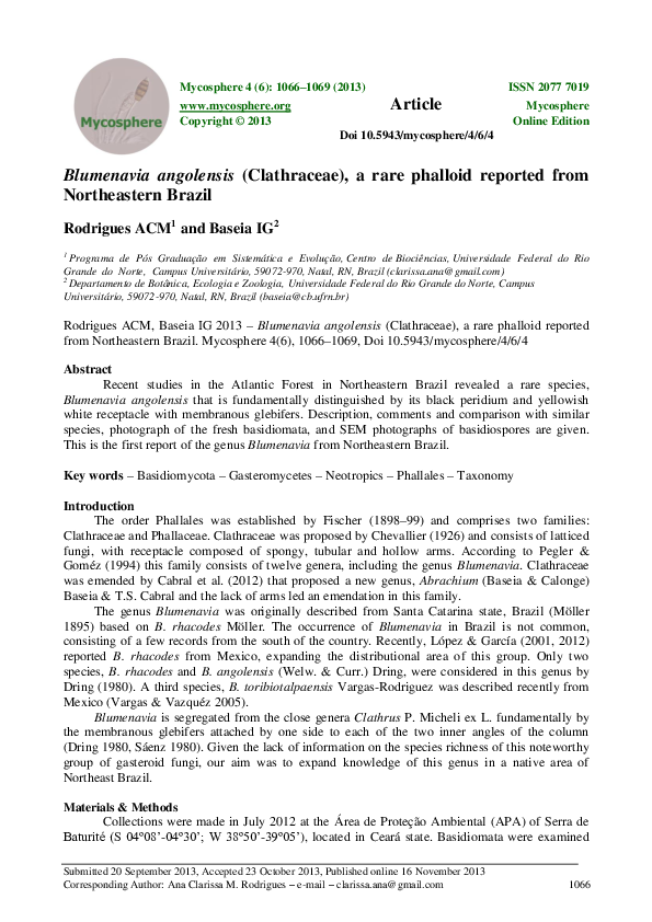 (PDF) Blumenavia angolensis (Clathraceae), a rare phalloid reported ...
