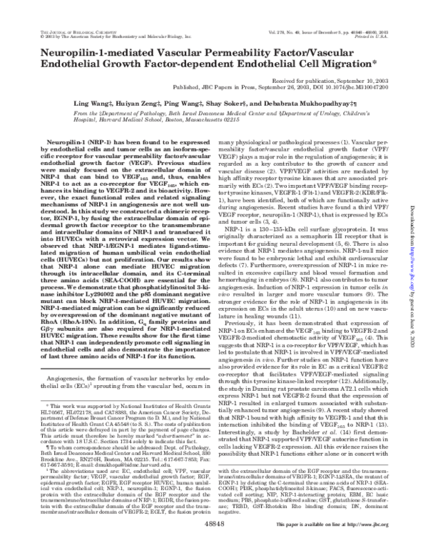 (PDF) Neuropilin-1-mediated vascular permeability factor/vascular endothelial growth factor ...