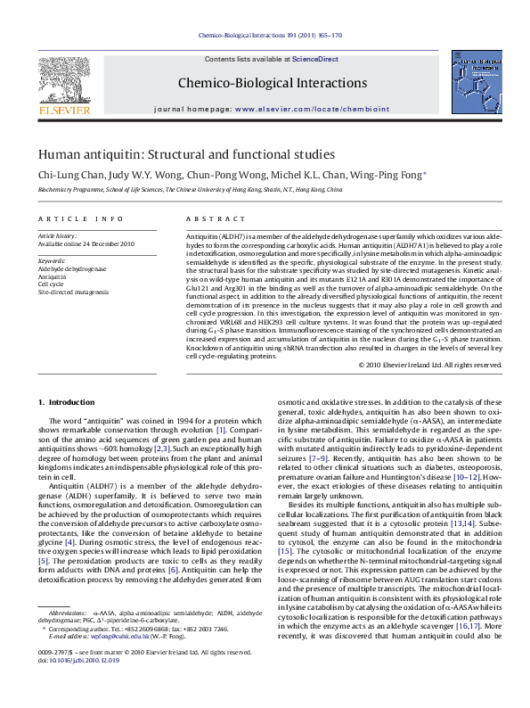 (PDF) Human antiquitin: Structural and functional studies