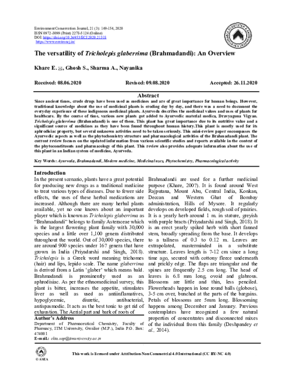 (PDF) The versatility of Tricholepis glaberrima (Brahmadandi): An Overview